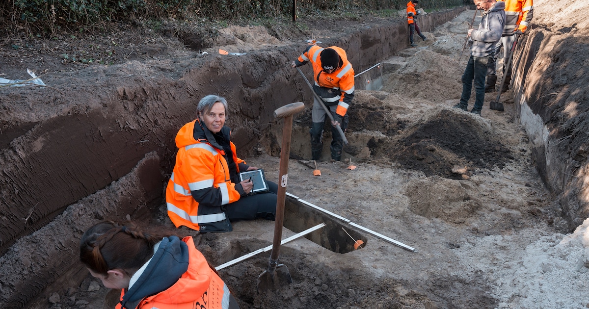 Een zeecontainer vol archeologische vondsten in Vlijmen: ‘Ik kreeg een ...