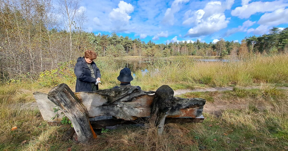 Plek zat in het Oisterwijkse bos, maar Natuurmonumenten wil geen nieuwe ...