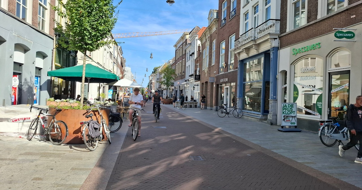 Nieuw! Telefoonhoesjesmerk Dutchies opent winkel in hartje Den Bosch ...