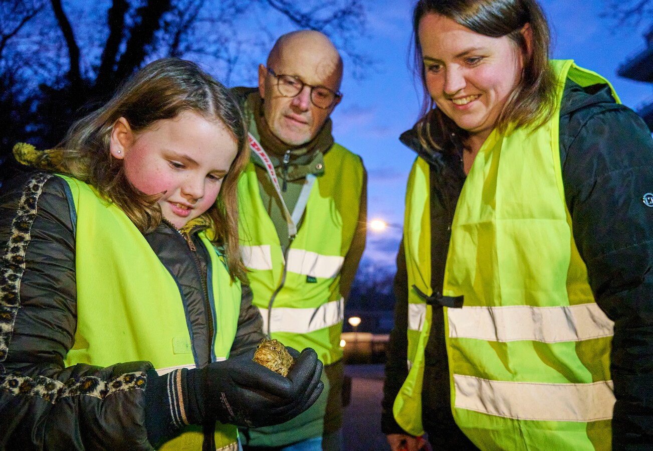 Worden de padden de redders van het Osse Hazenakkerpark? Buurt stapt ...