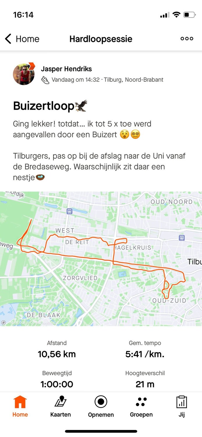 Jasper (27) werd tot vijf keer belaagd door een buizerd: ‘Moet ik nou ...