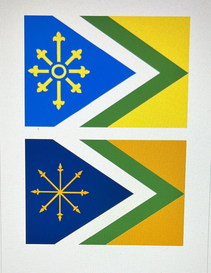 VVD komt met eigen ontwerp voor nieuwe vlag gemeente Maashorst: ‘Het moet warmer zijn ...