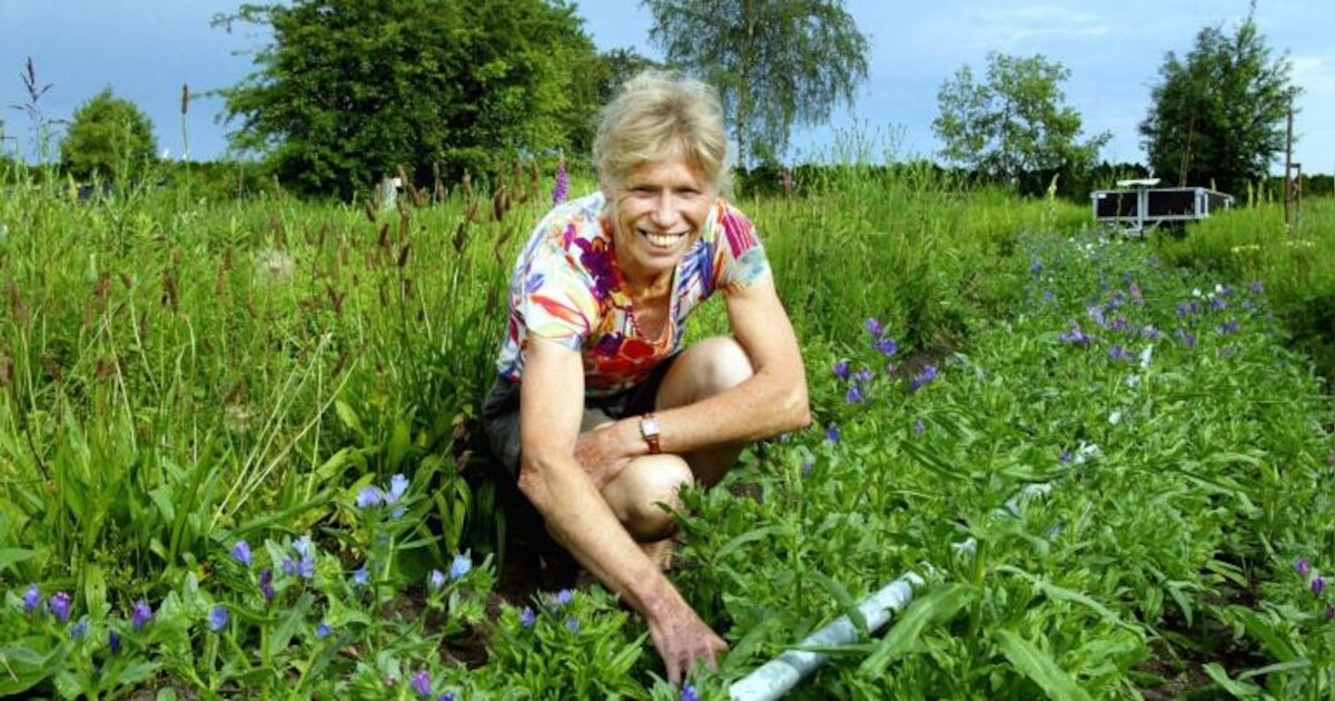Kruidenrijk 'geneest' al een kwarteeuw in Haaren | Haaren | BD.nl