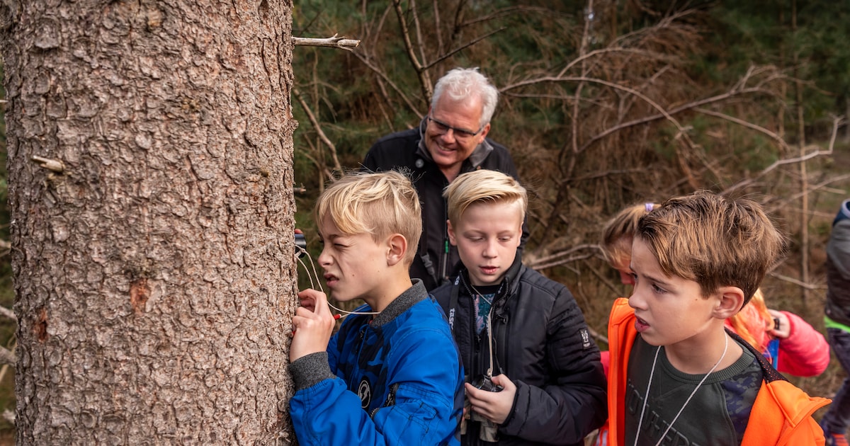 Scholen uit Oss blijven naar natuurcentrum Maashorst komen | Regio | BD.nl