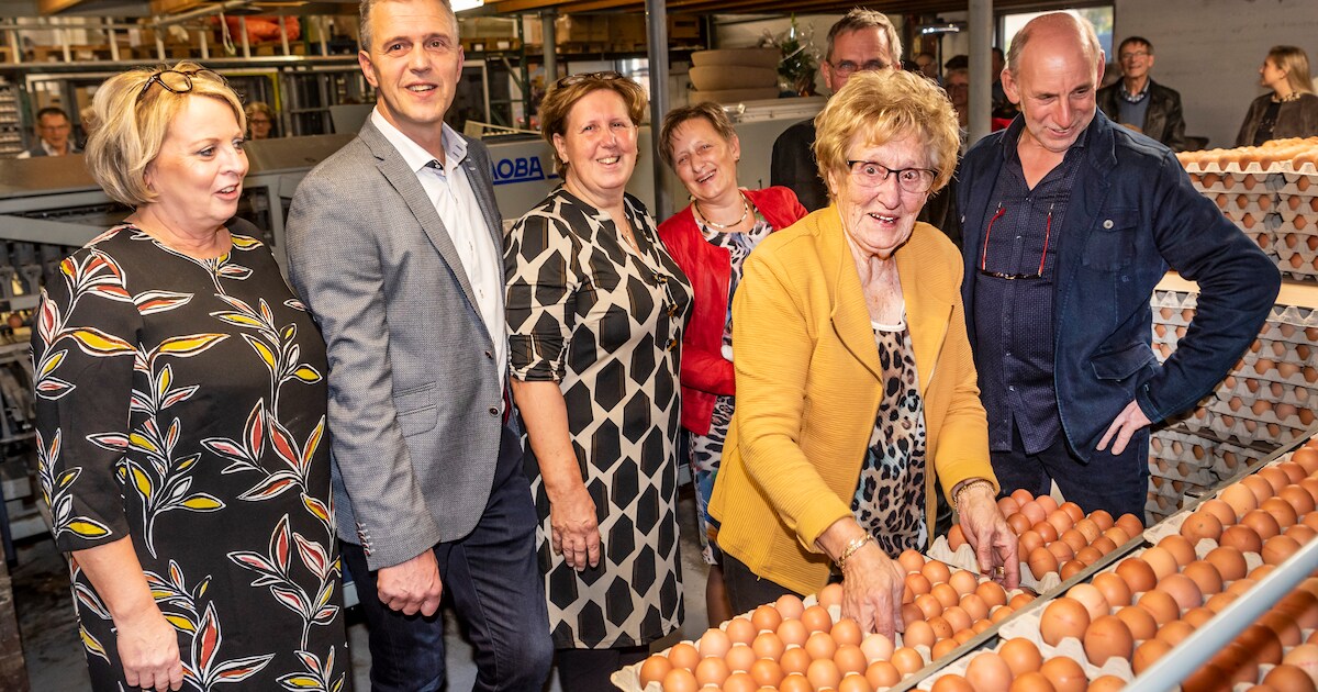 Maren-Kesselse Cis Ketels (82) legt laatste eieren op de sorteerband ...