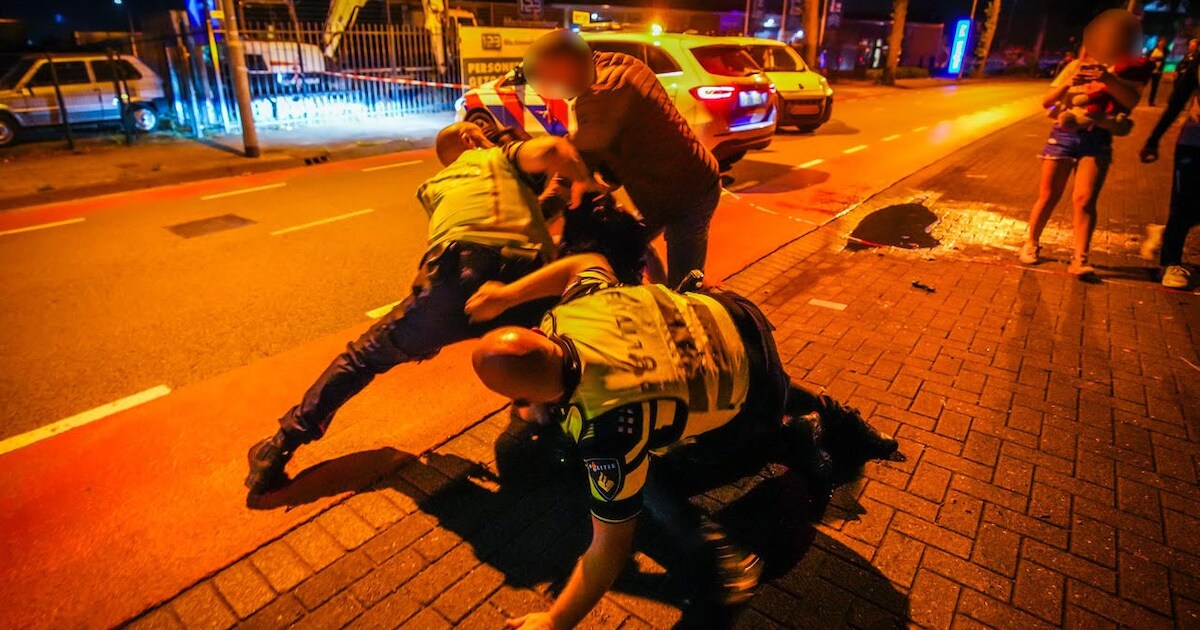 Vechtersbazen knokten met de politie, maar zitten nu bedeesd in ...