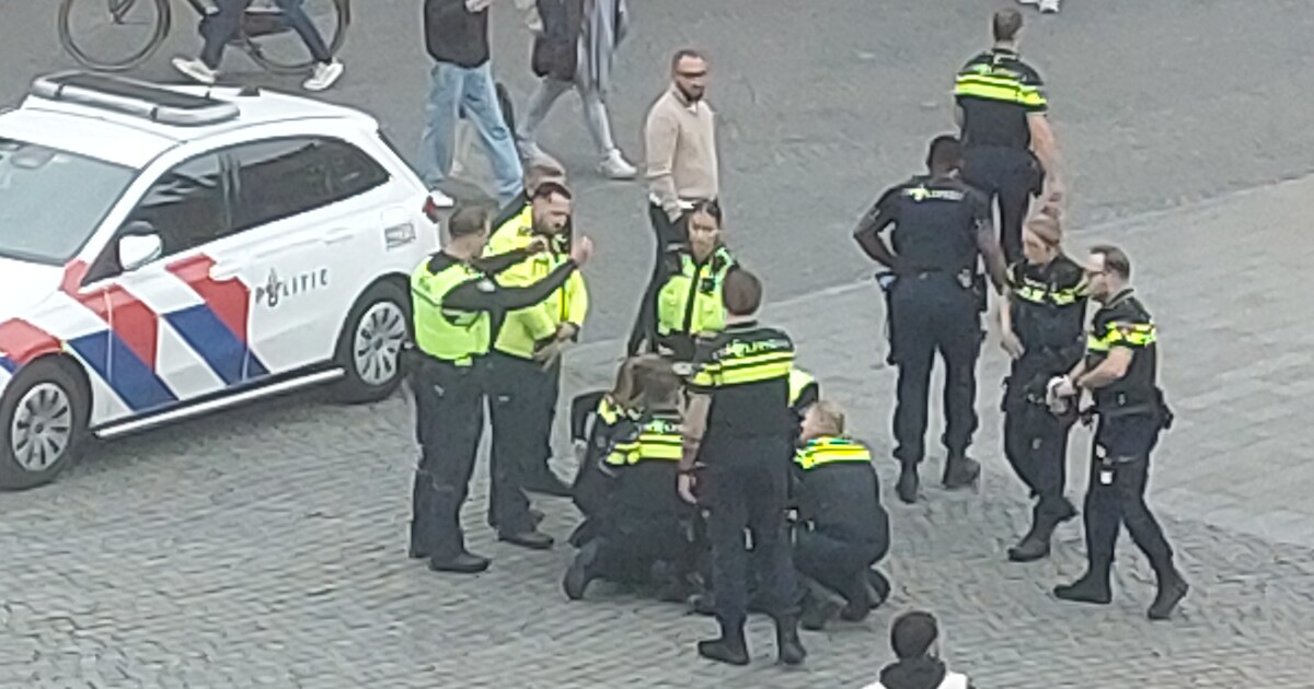 Man valt NS-medewerkster aan op Stationsplein in Den Bosch ...
