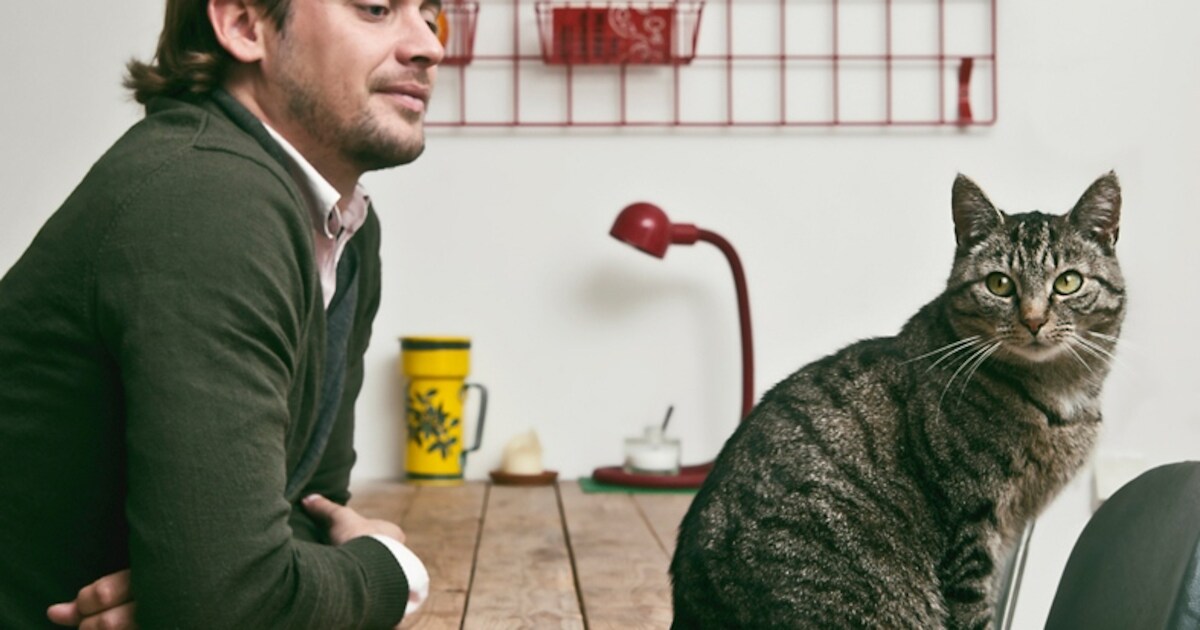 Bewogen jaar, maar Men & Pussy is een feit | Opinie | BD.nl