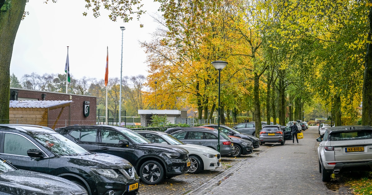 Sportclub Mariaheide blijft maar leden trekken, nieuw kunstgrasveld ...
