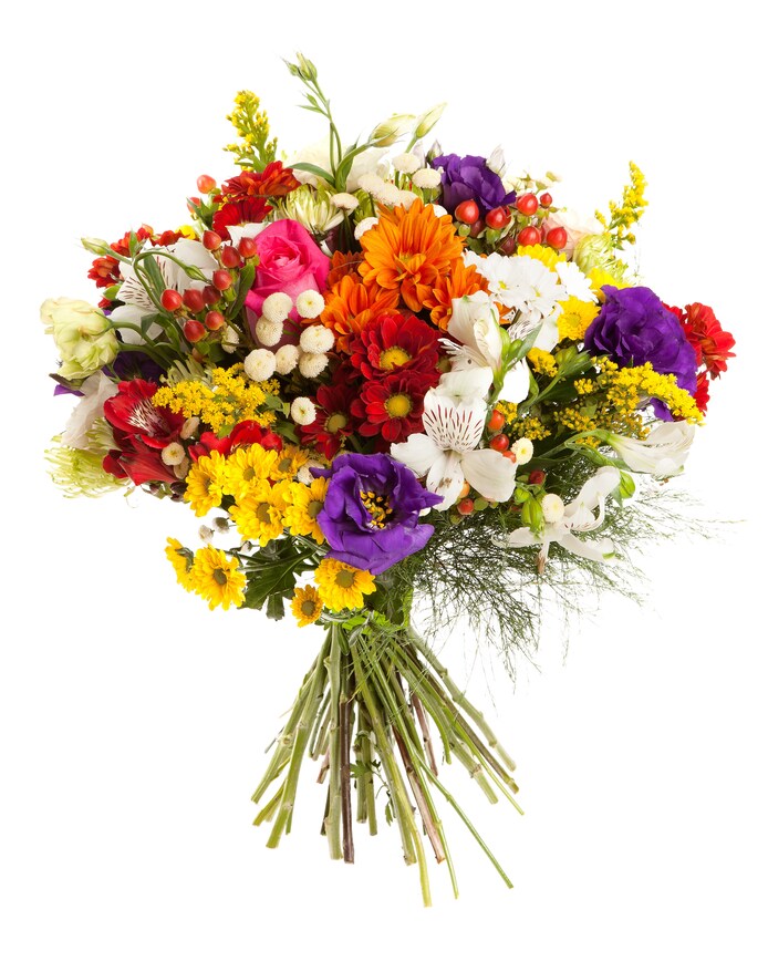 Tilburgers Jack Buckens en Paul Termeer onderscheiden met zilveren ...