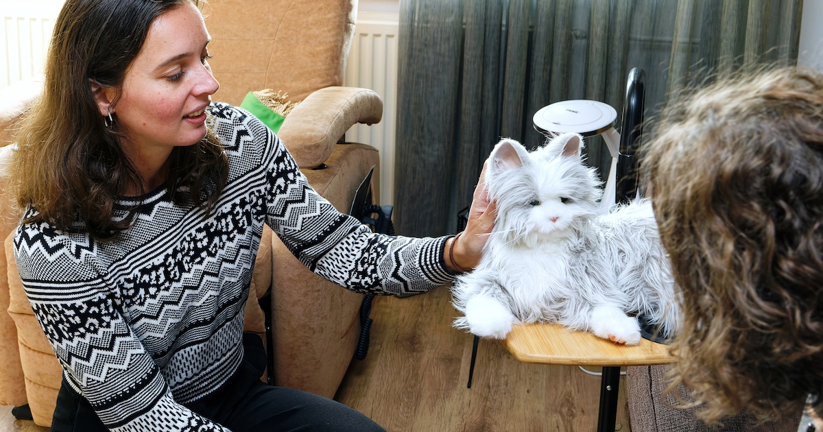 Robotpoes, pratende plant en traphulp: snufjes met én zonder stekker ...