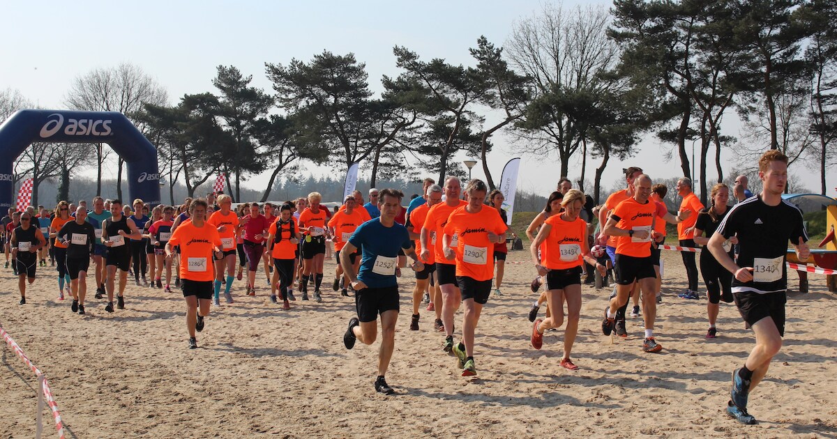 Stier of hardloper: wie heeft voorrang bij evenement in Maashorst ...
