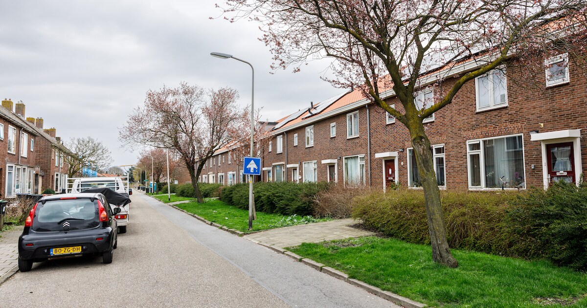 Wie is Jeremy van E., de man die is opgepakt voor de dood van Sylvia uit Apeldoorn? | Binnenland ...