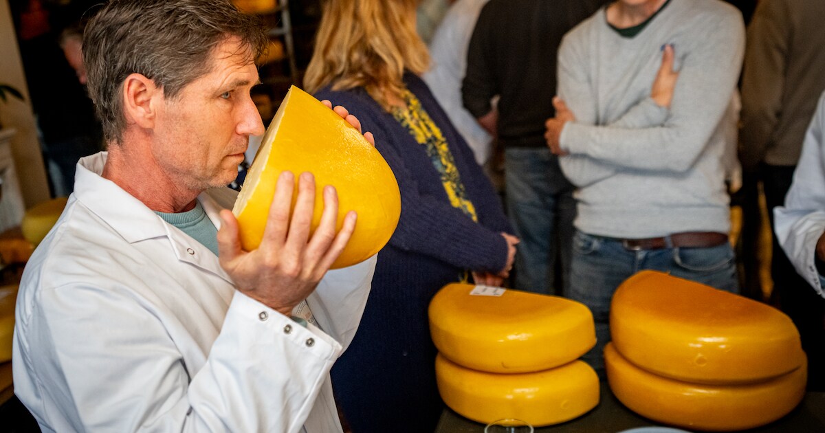 Kijken, knijpen, ruiken en proeven: wie maakt de beste kaas van Zuid ...