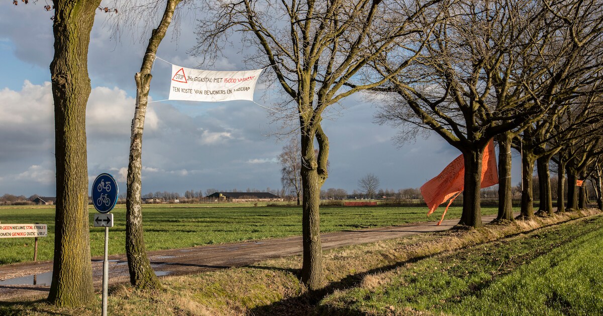 Boekel wilde twee miljoen, maar kreeg nog geen drie ton in zaak rond ...