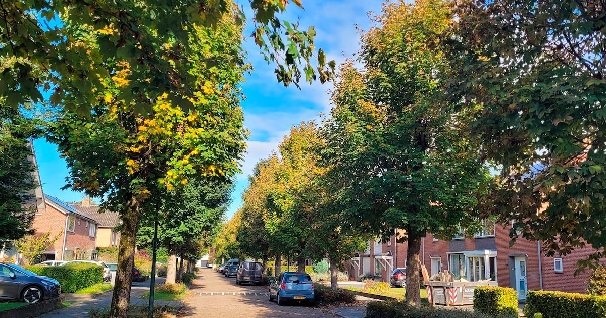 Kies waar het kunstwerk Samen Onderweg komt te staan | Regio | BD.nl