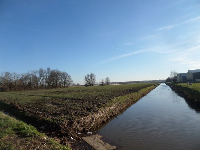 Grote interesse in grond op De Rietdijk, Altena maakt ‘strenge’ regels ...