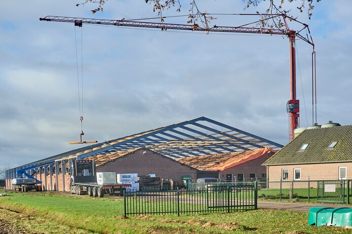 Varkensstallen in Boekel ‘onder één dak’ | Uden, Veghel e.o. | bd.nl