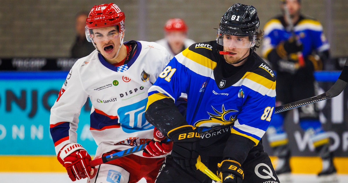 Max Hermens nieuwe captain van Tilburg Trappers: ‘Ik was er wel door ...