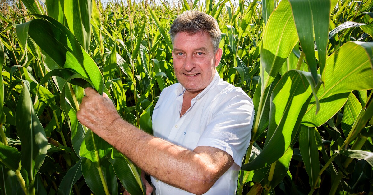 Gerjan (59) heeft zijn afgerukte onderarm terug: ‘Het is ongelooflijk ...