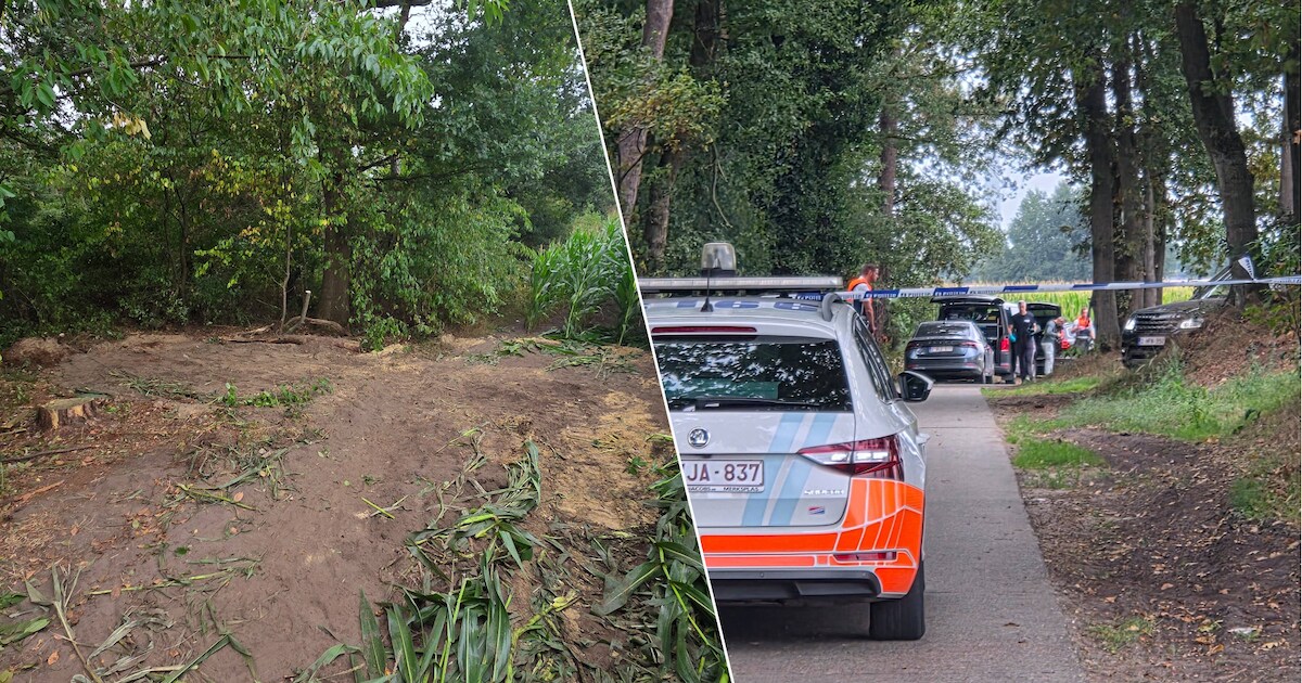 Vrouw (40) op Schiphol opgepakt na vondst vermoorde en bij Hazeldonk begraven man | Binnenland ...