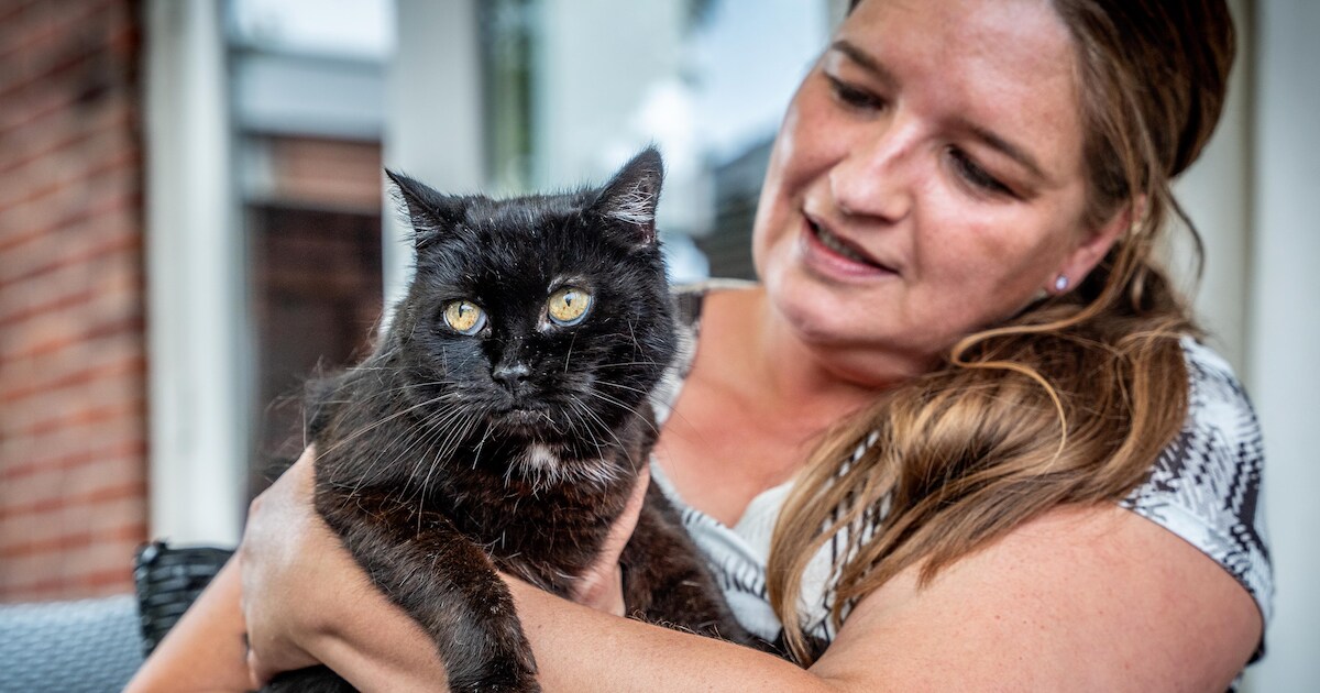 Poes Dropje (16) is wekenlang spoorloos, dan blijkt ze een bizar ...