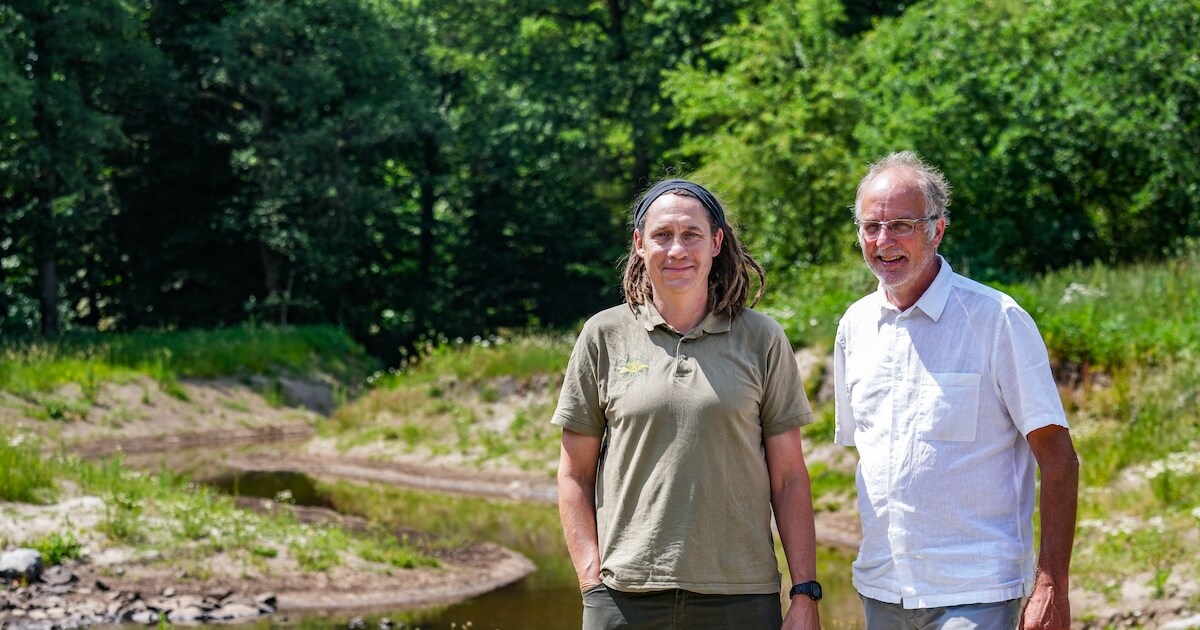 Oude Leij kronkelt weer: twee beekherstelprojecten brengen natuur terug ...
