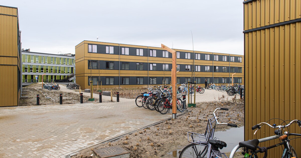 Planbureau waarschuwt: flexwoningen geen gedroomde oplossing tegen woningnood | Wonen | bd.nl