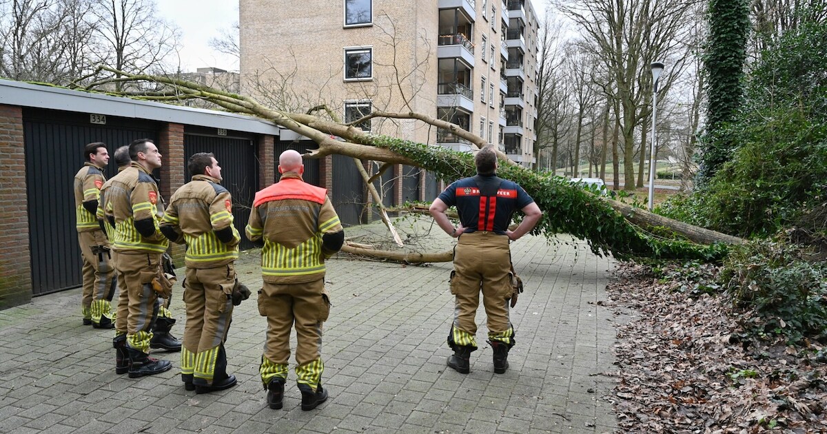 Boom valt door harde windstoten op garageboxen in Tilburg | 112 nieuws ...