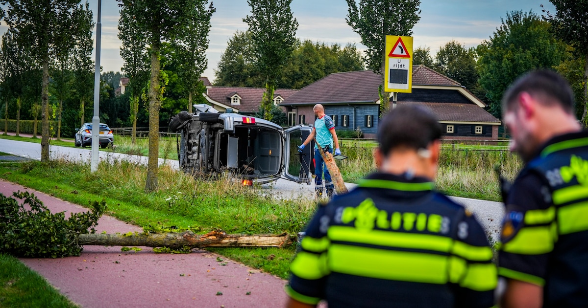 Auto met echtpaar en kleinkinderen belandt op zijkant in Best ...