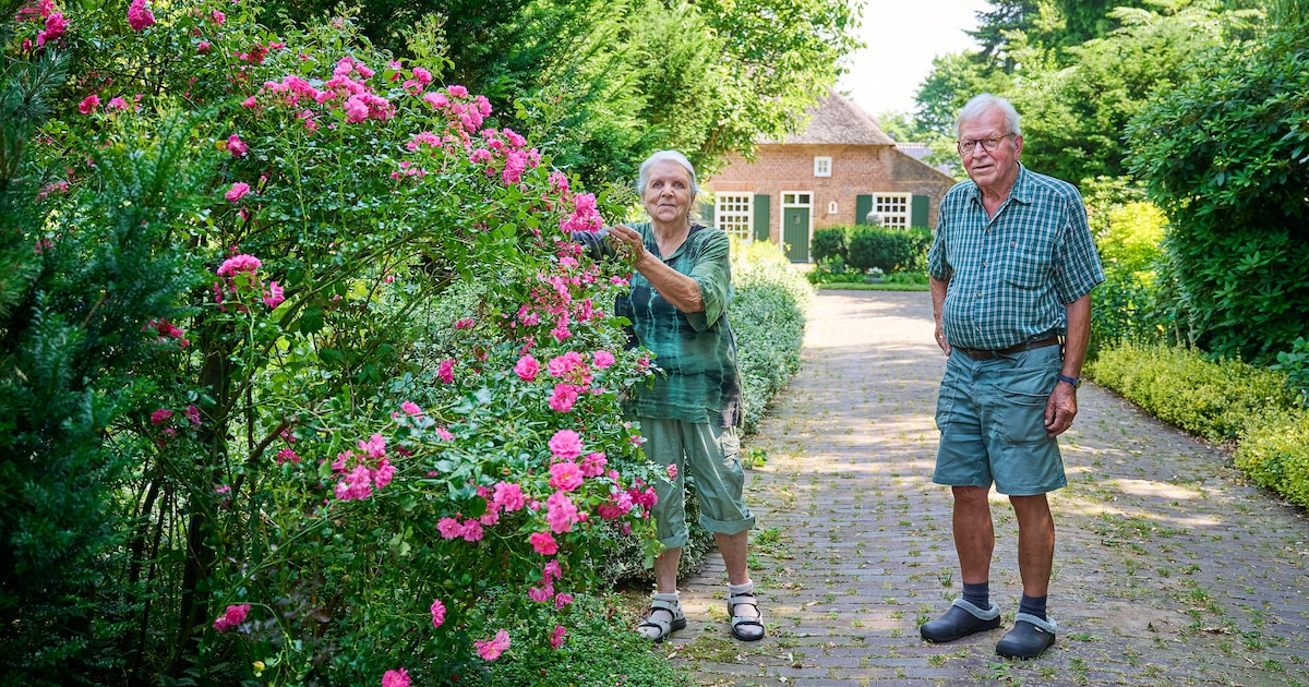 Harry (78) staat 10 meter hoog takken te zagen in zijn rimboetuin ...