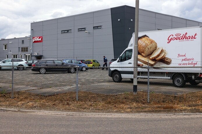 Jumbo kiest voor brood van Goedhart: wat betekent die megaorder voor de ...
