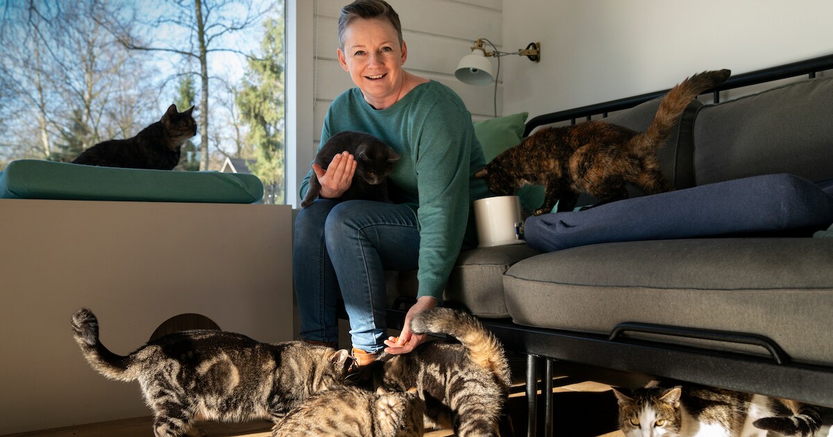 Met al die katten en zónder drankkaters is Arianne de Jong simpelweg ...