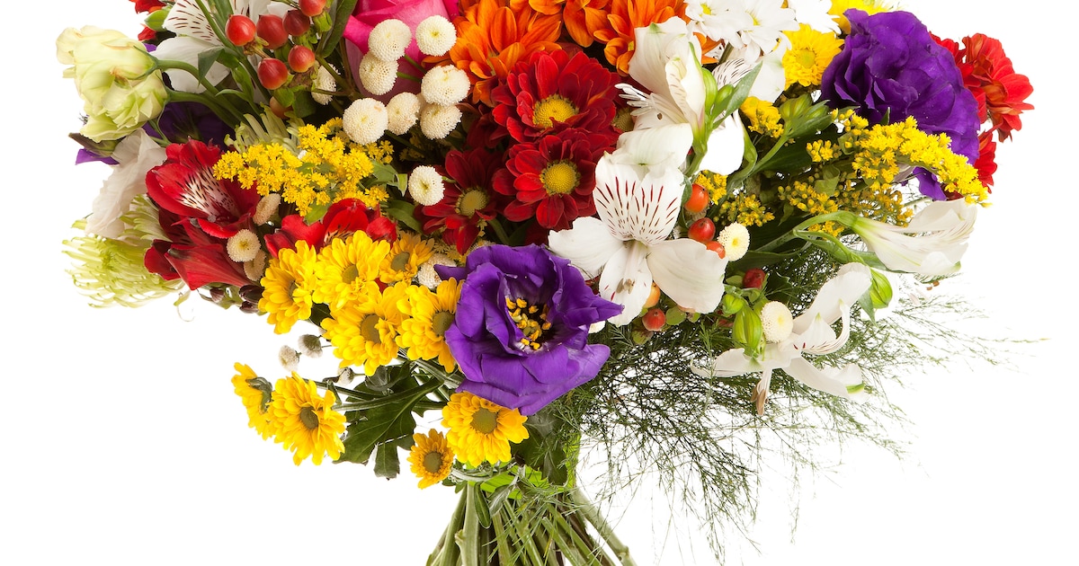 Tilburgers Jack Buckens en Paul Termeer onderscheiden met zilveren ...