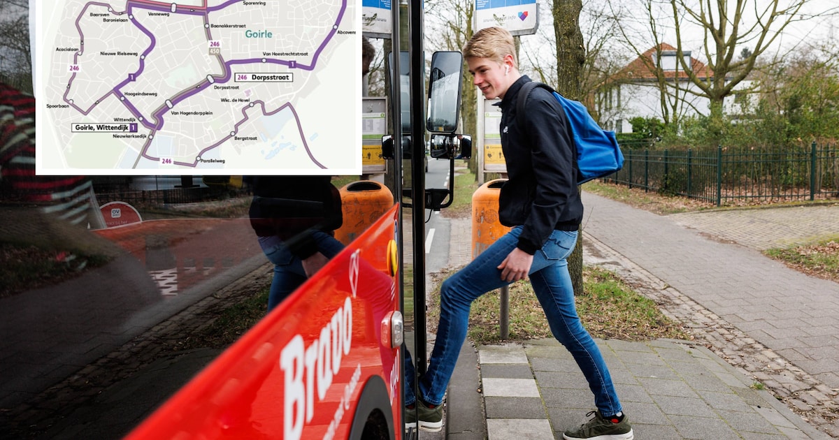 Die snellere bus voor Goirle stuit ook op kritiek: ‘Ziekenhuis uit de ...