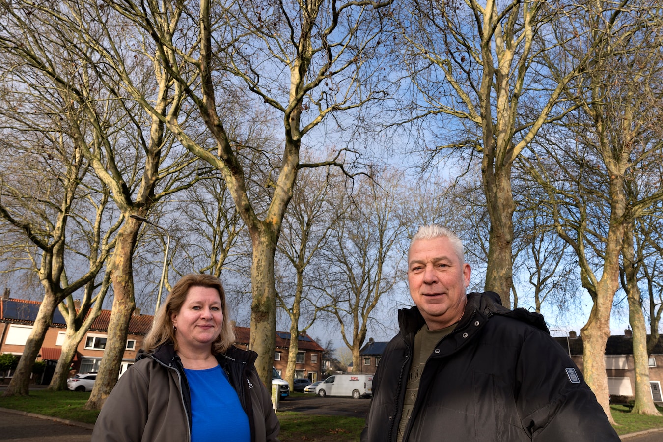 Vallende takken, wortelschade en andere overlast: buurt is radeloos ...