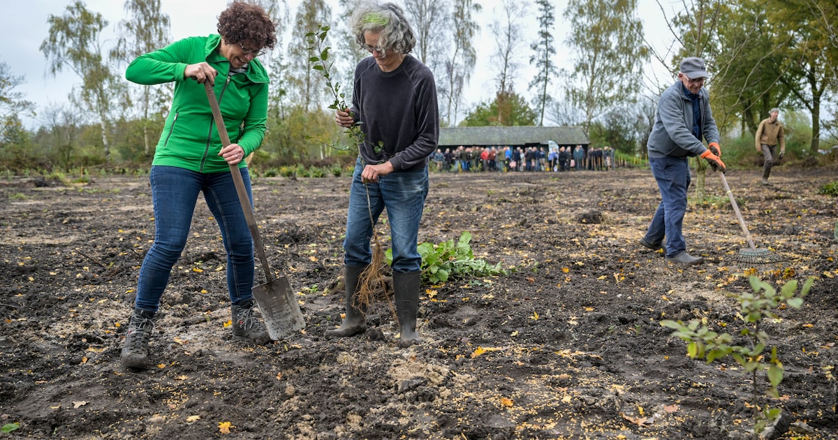 Rode loper voor natuur uitgerold op vroegere volkstuinen: ‘Eindelijk ...