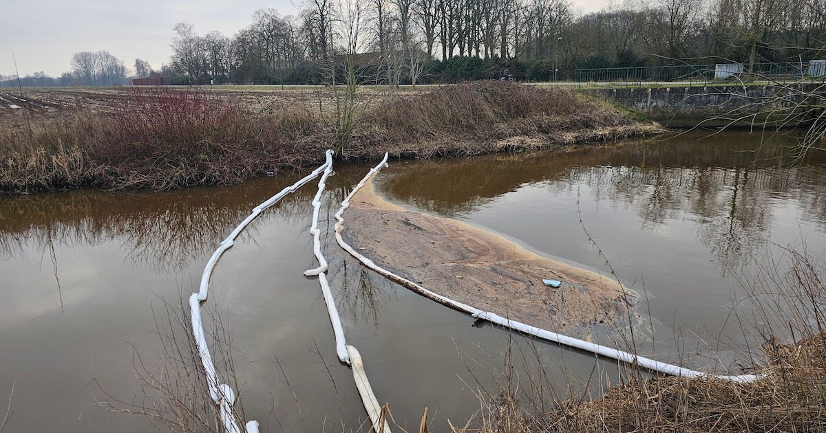 Gelekte olie na twee weken nog niet verdwenen uit de Mark | Breda | BD.nl