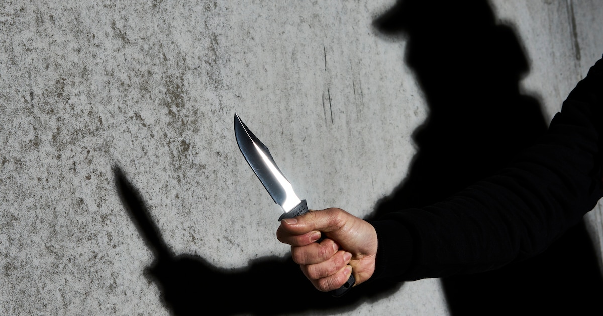 Acht jaar celstraf voor Bosschenaar na steekpartij en bedreiging ...