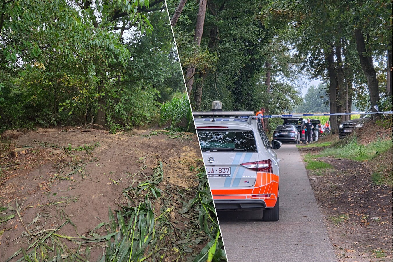 Nederlandse politie looft 15.000 euro uit voor gouden tip die naar ...