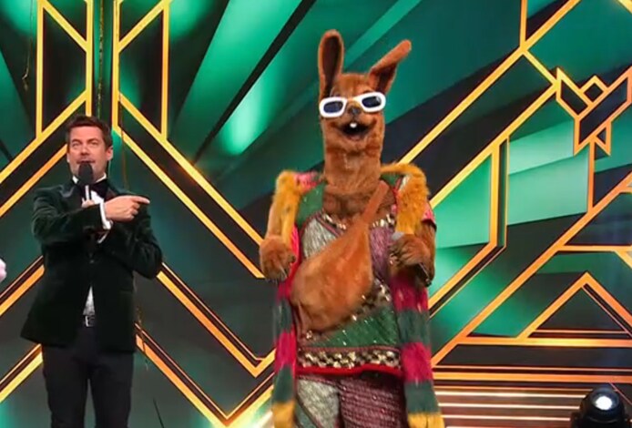 Alle hints voor finale The masked singer op een rijtje: wie schuilen er in de zes pakken? | Show ...