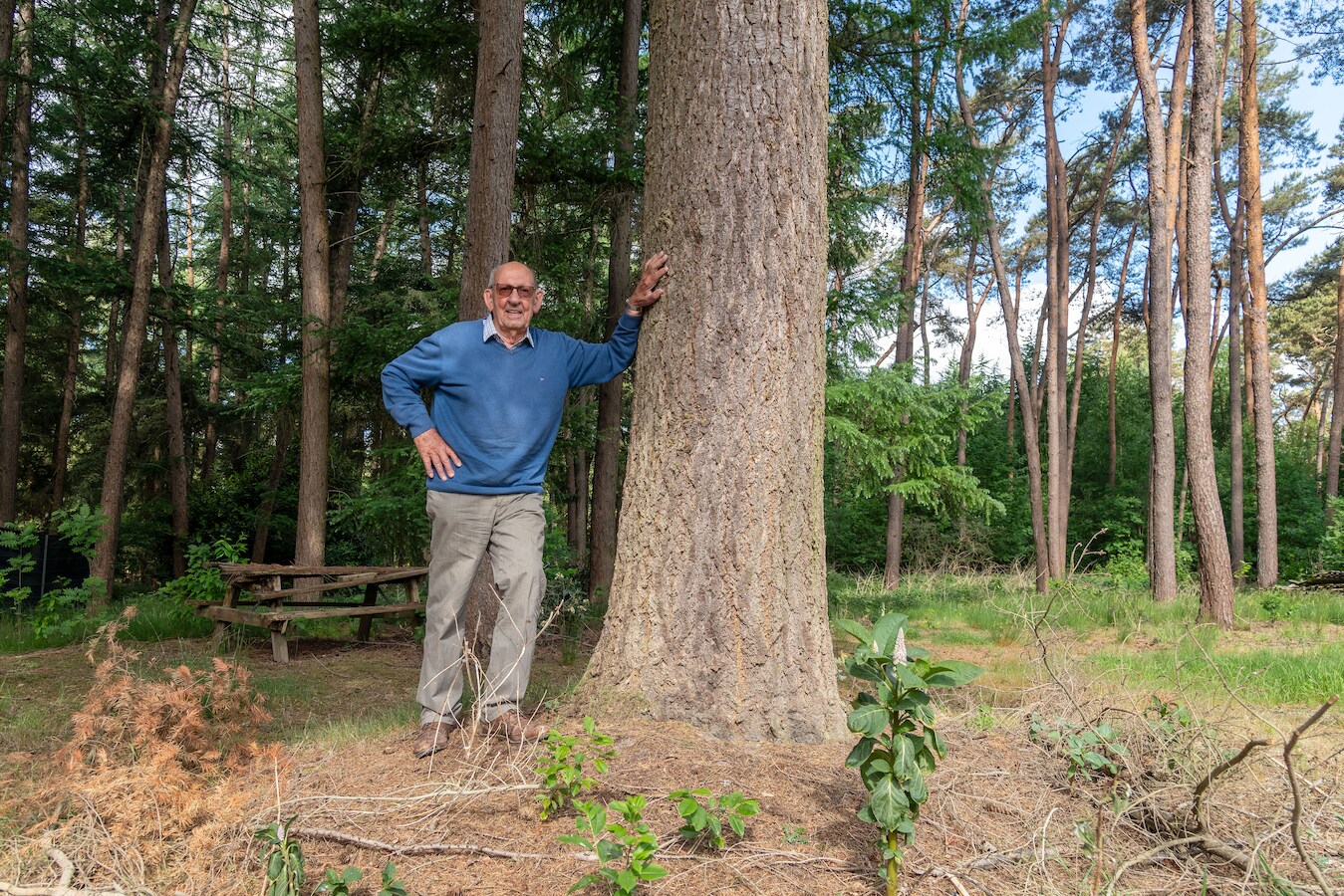 Karel (88) bluste bosbranden in Loonse en Drunense Duinen vroeger zelf ...