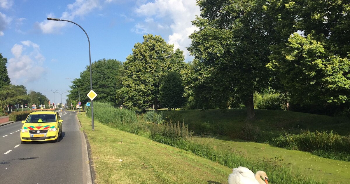 Ruzie over inzet dierenambulance: ‘Spoedjes blijven we wel doen ...