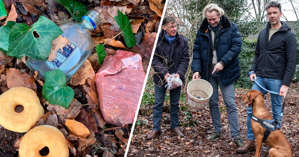 Bizarre vondst in bosje zorgt voor onrust in dorp: 'Dit is een vreemde ...