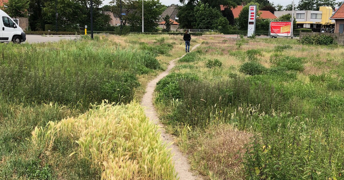 Groen licht voor 15 appartementen bij rotonde Bitswijk Uden | Uden, Veghel e.o. | bd.nl