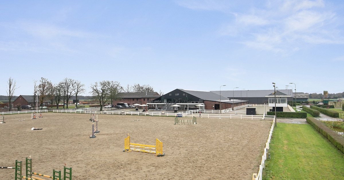 Hippisch centrum Schaijk wisselt van eigenaar: Stal Swanenberg wordt ...