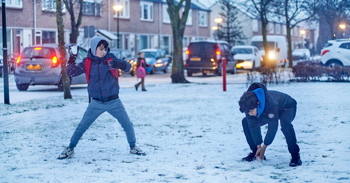 Yes, het kán weer: sneeuwballengevecht! | Uden, Veghel e.o. | BD.nl