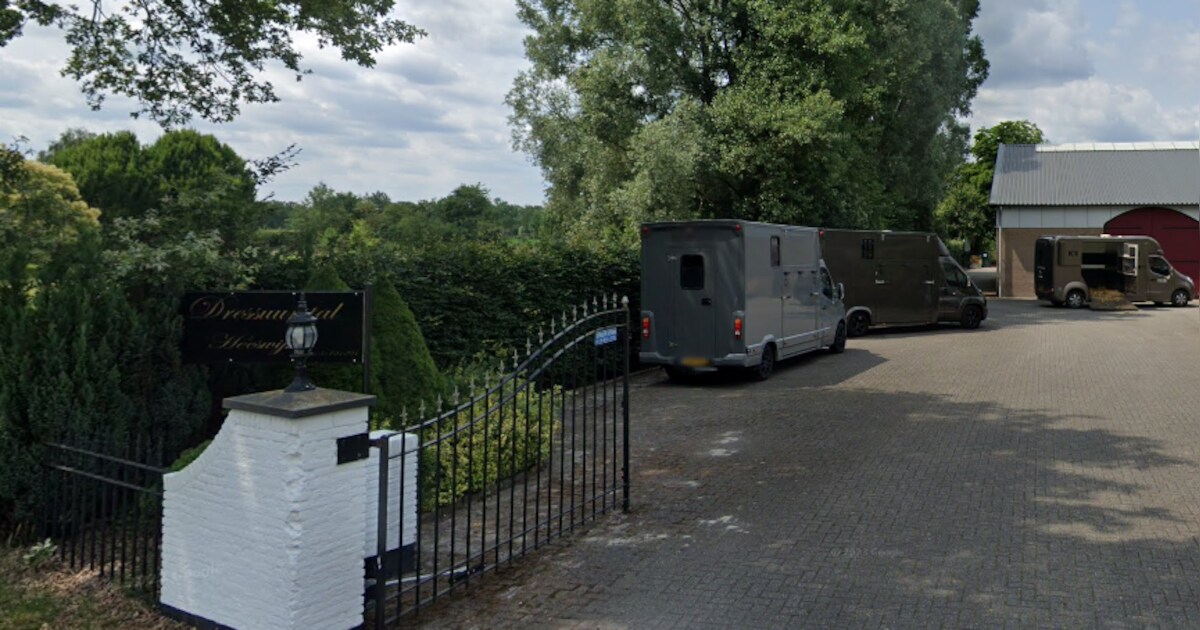 Dieven roven dressuurstal in Heeswijk-Dinther leeg, maar daar niet ...