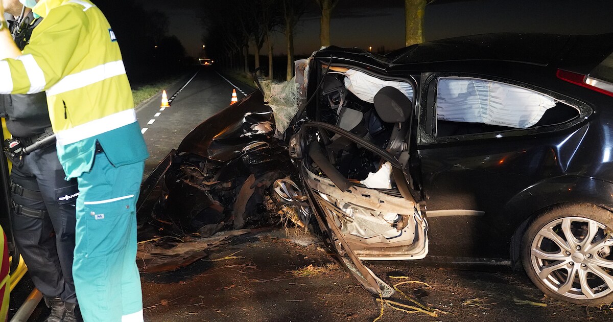 Automobilist verliest macht over het stuur en botst tegen boom in Rijen | Tilburg e.o. | BD.nl