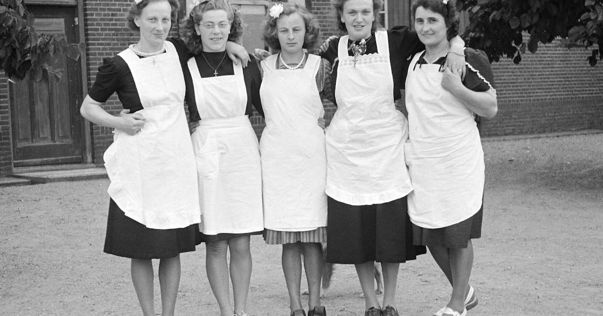 Osse horeca was goedkoper uit met Bossche obers dan met Osse obers ...